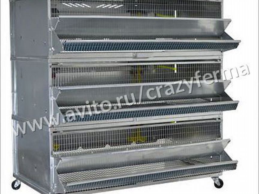 Клетка на 150 перепелов