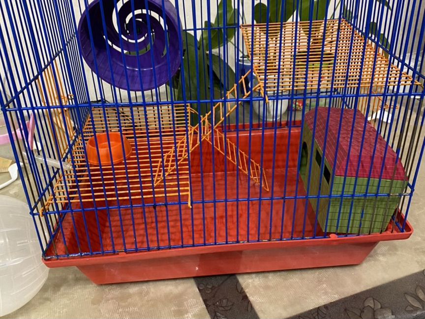Большая клетка для хомяка