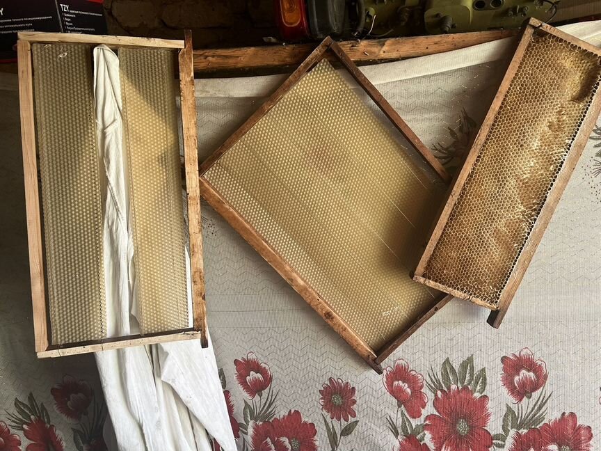 Сушь и вощина с рамкой