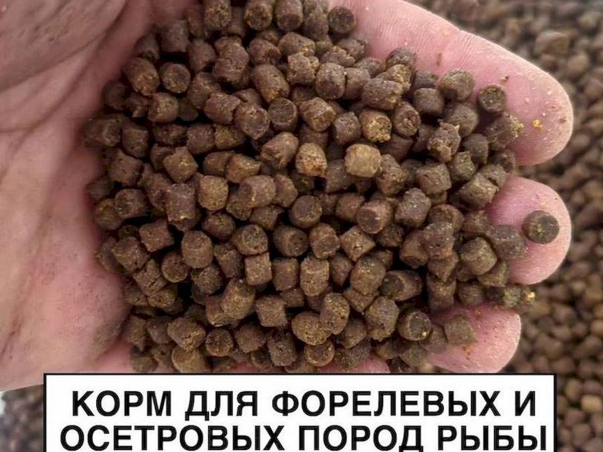 Корм для рыб