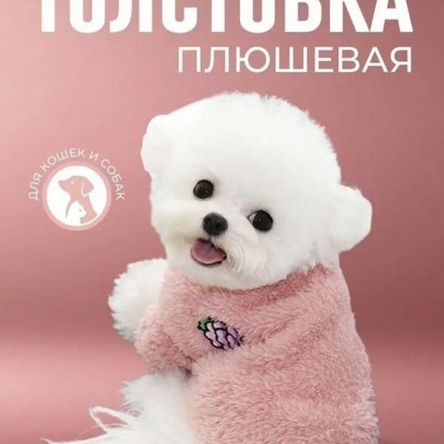 Толстовка для маленьких собак и кошек