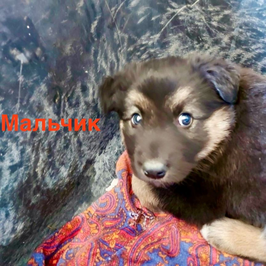 Малыши хотят жить