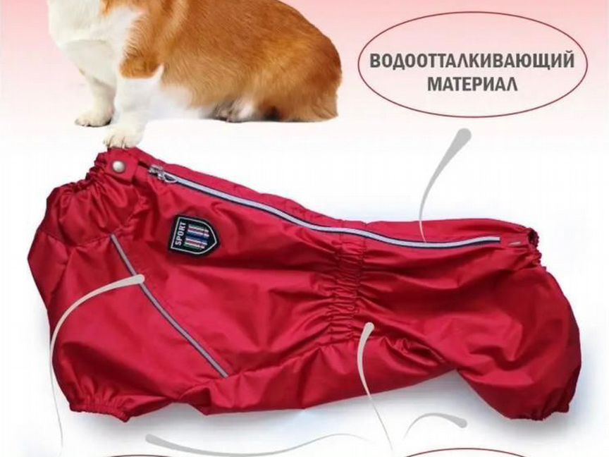 Дождевик (комбинезон) для корги, девочки