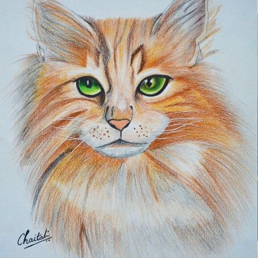 Рисую ваших питомцев