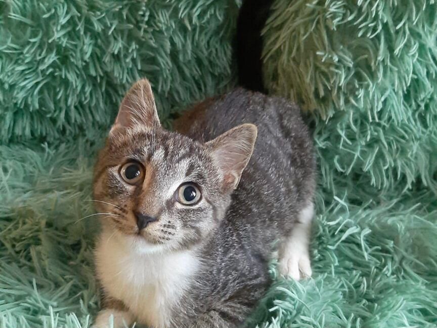 Симпатичный мальчуган