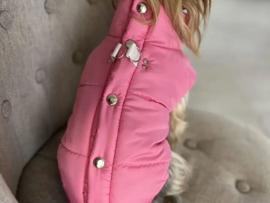 Жидет для собак и кошек GlamCat