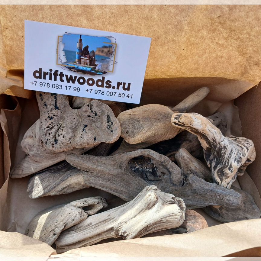 Коряги дрифтвуд