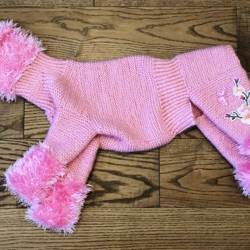 Одежда для собак