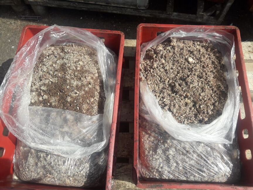 Шквара мясная