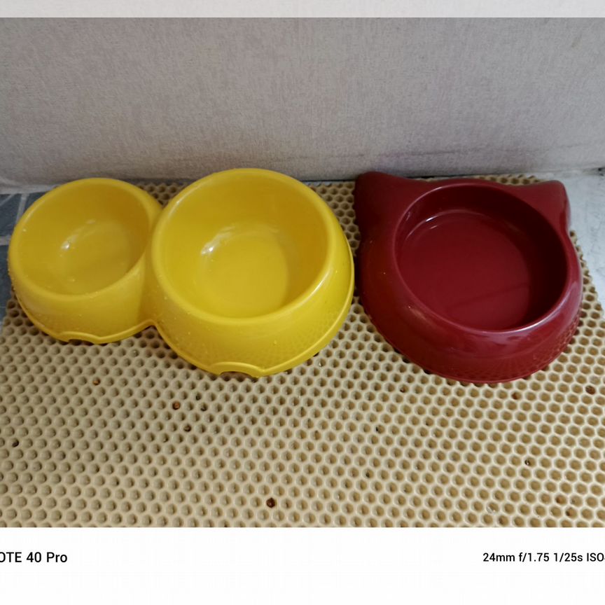 Отдам лоток для кошек, когдеточку, миски