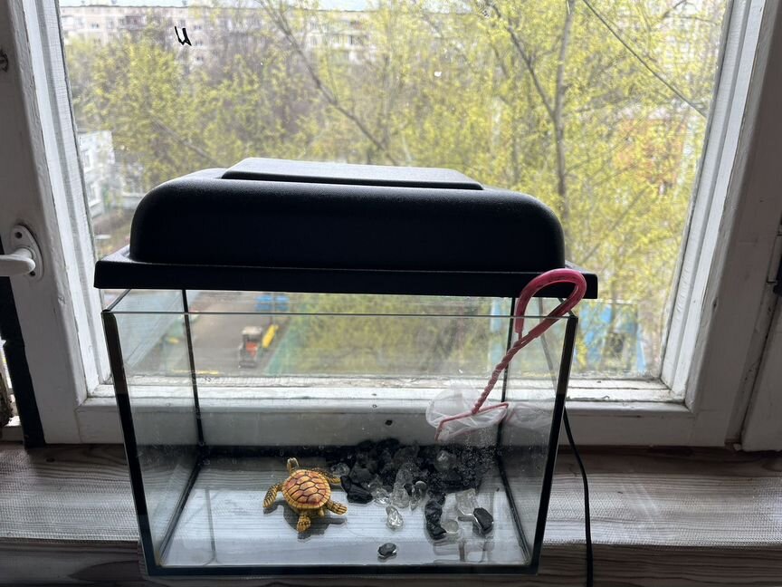 Аквариум 10 л с подсветкой