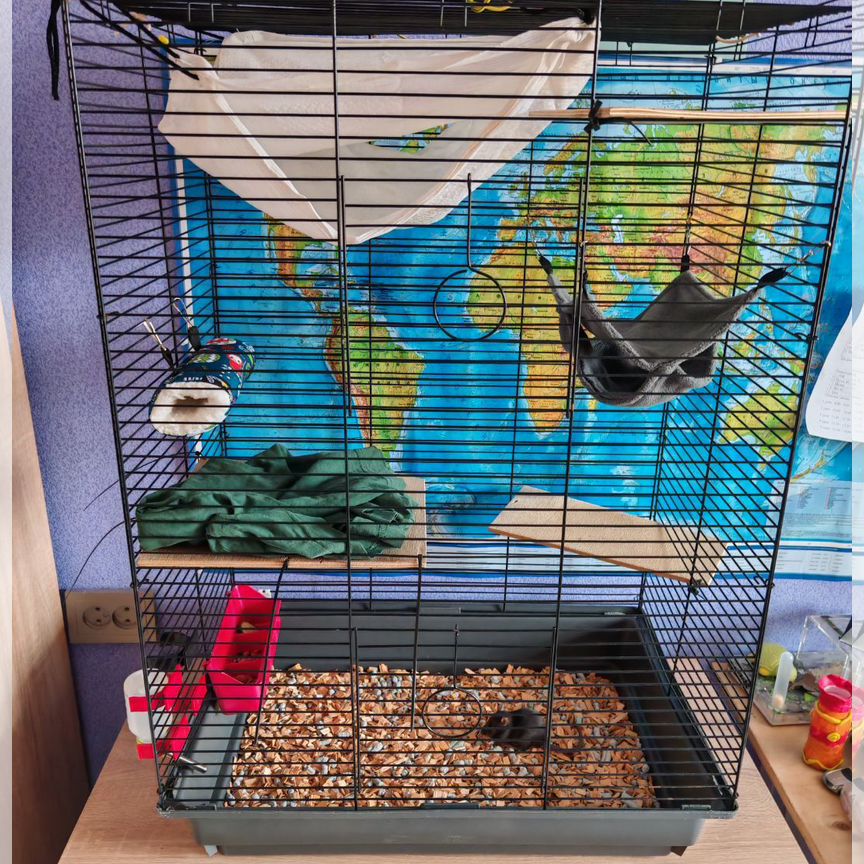 Клетка для крыс