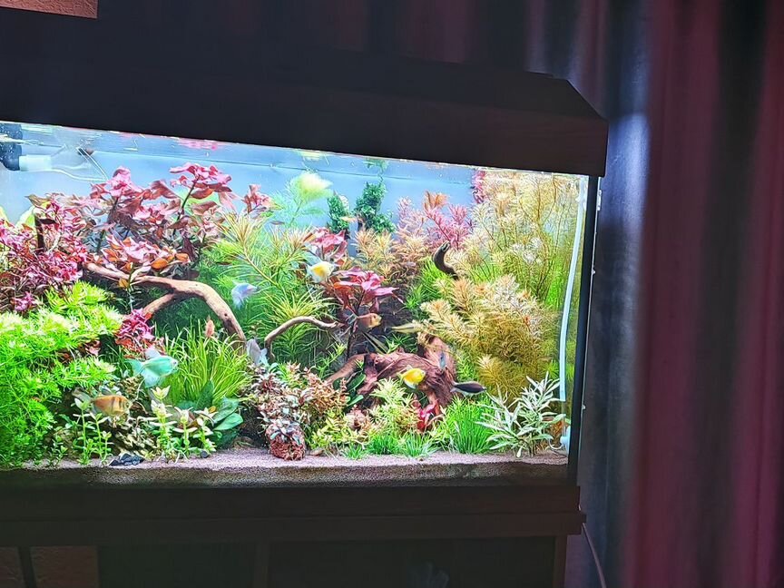 Аквариум 130 литров