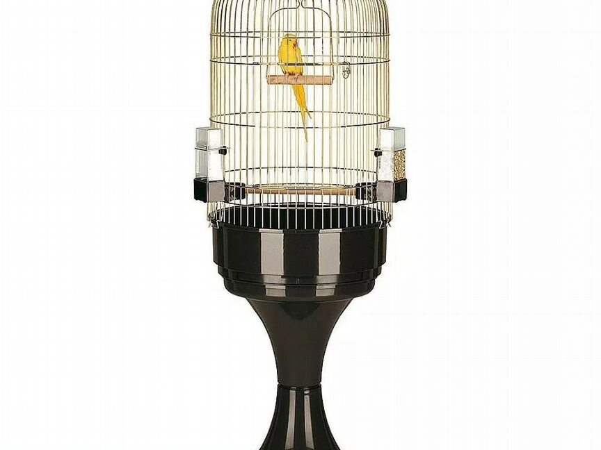 Попугай Корелла с клеткой