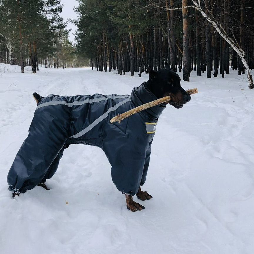 Зимняя куртка для собак крупных пород