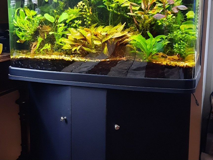 Продам аквариум 120 л с тумбой