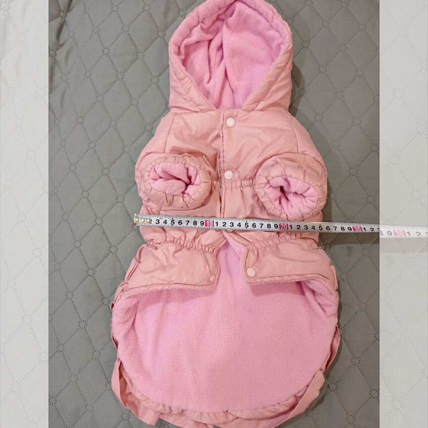 Одежда для собак