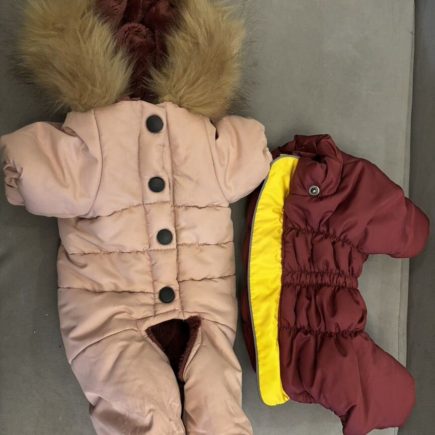 Одежда для собак мелких пород зима