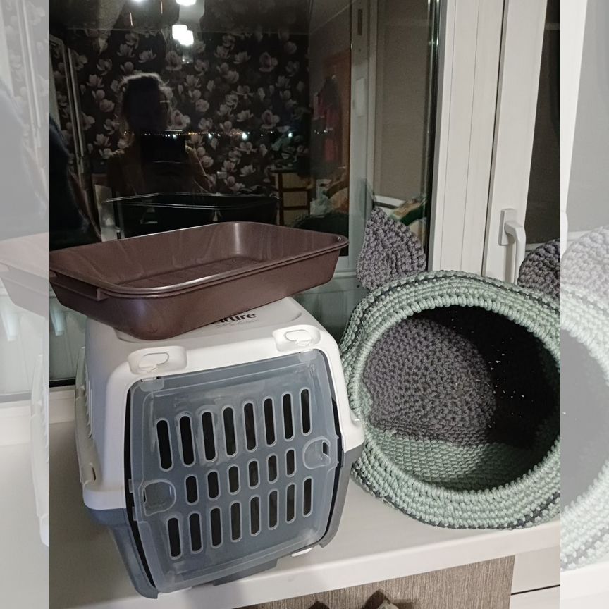 Лоток домик для кошек