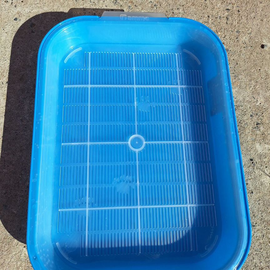 Лоток для кошек