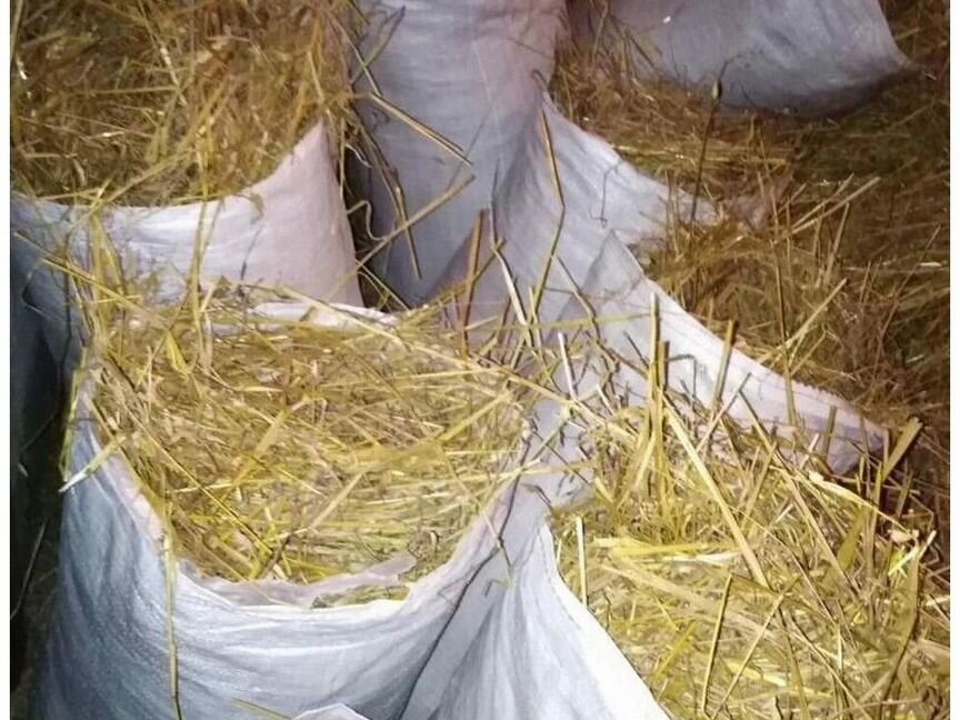 Солома, сено