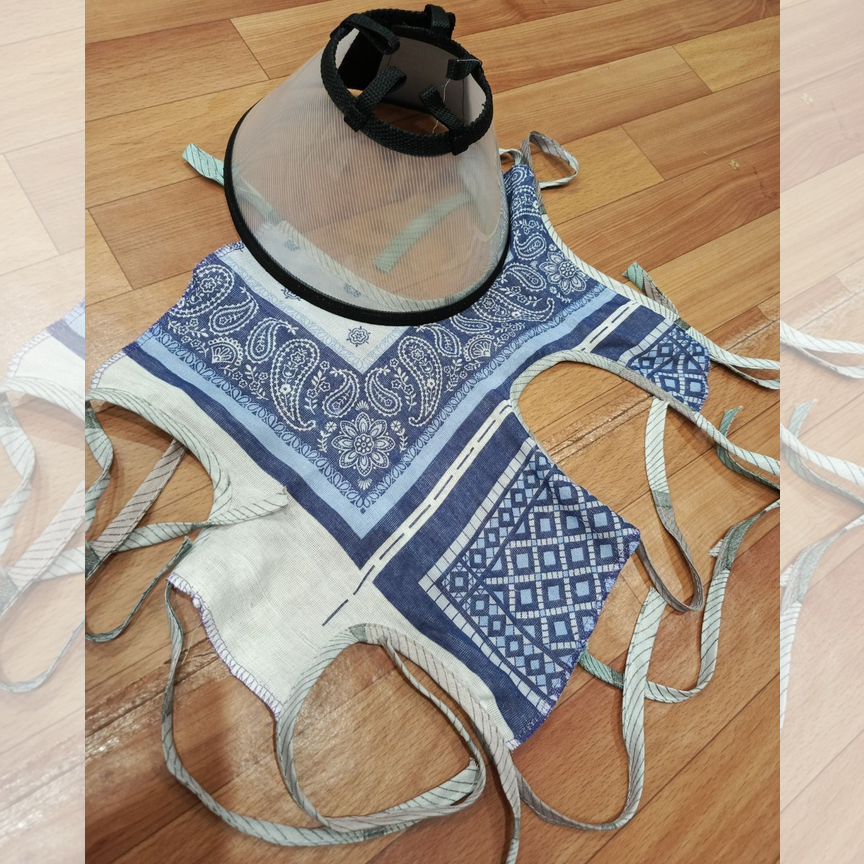 Воротник для кошек