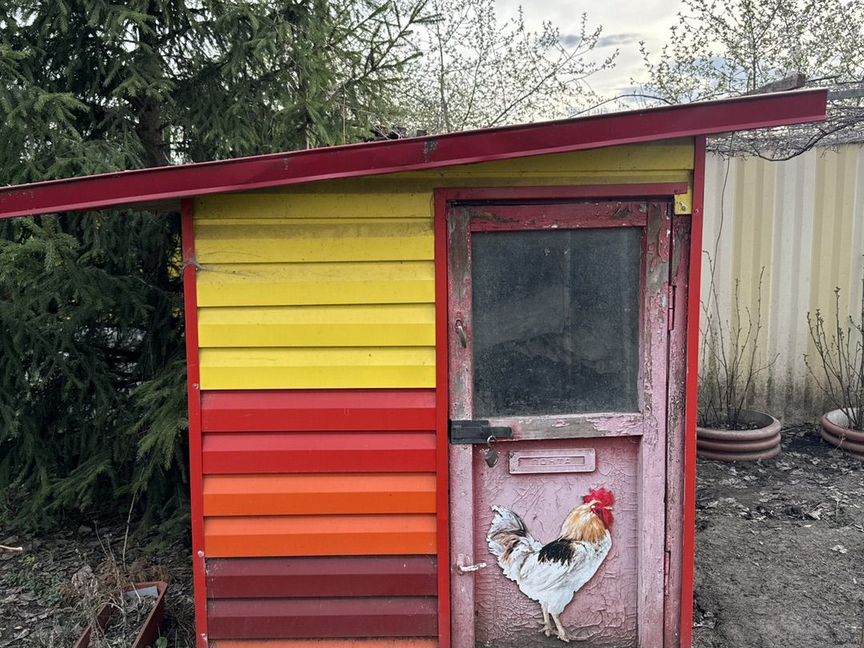 Курятник дачный утепленный