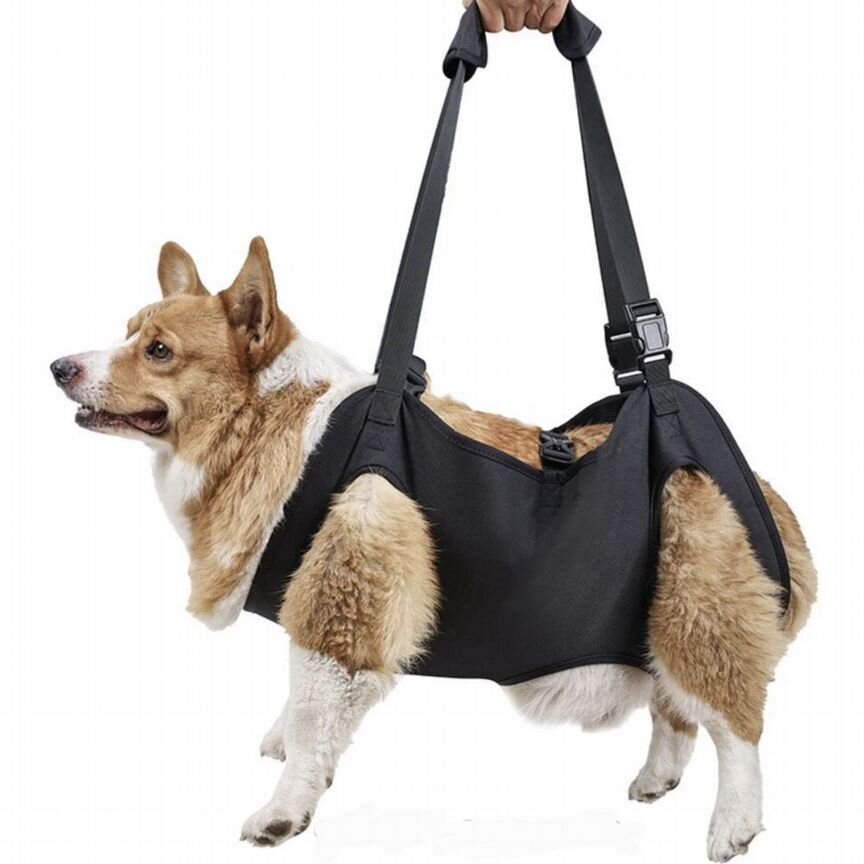 Ходунки для собак средних пород