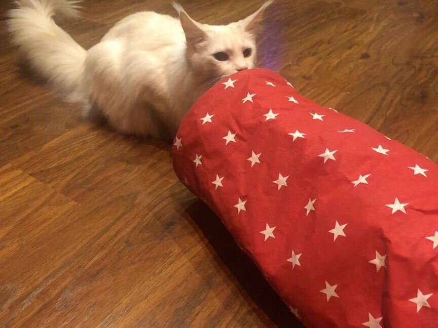 Туннель для кошек