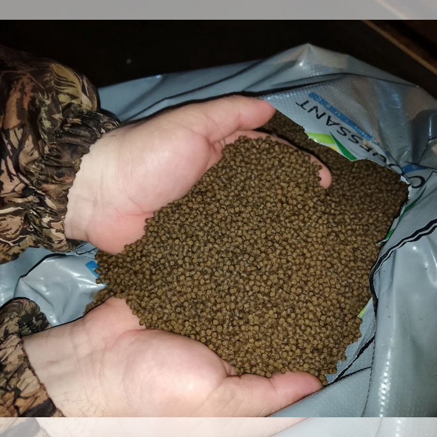 Корм для рыб