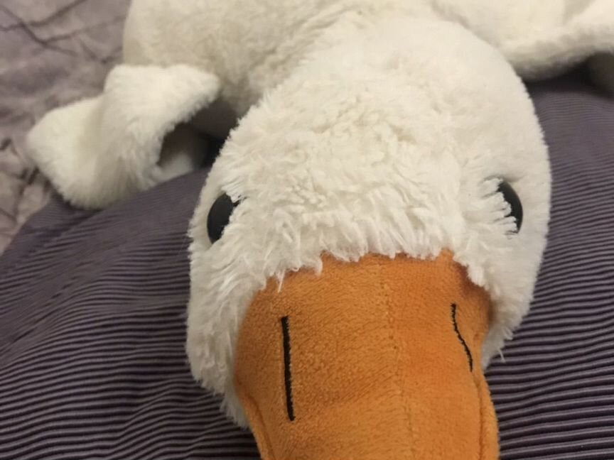 Гусь обнимусь 50 см