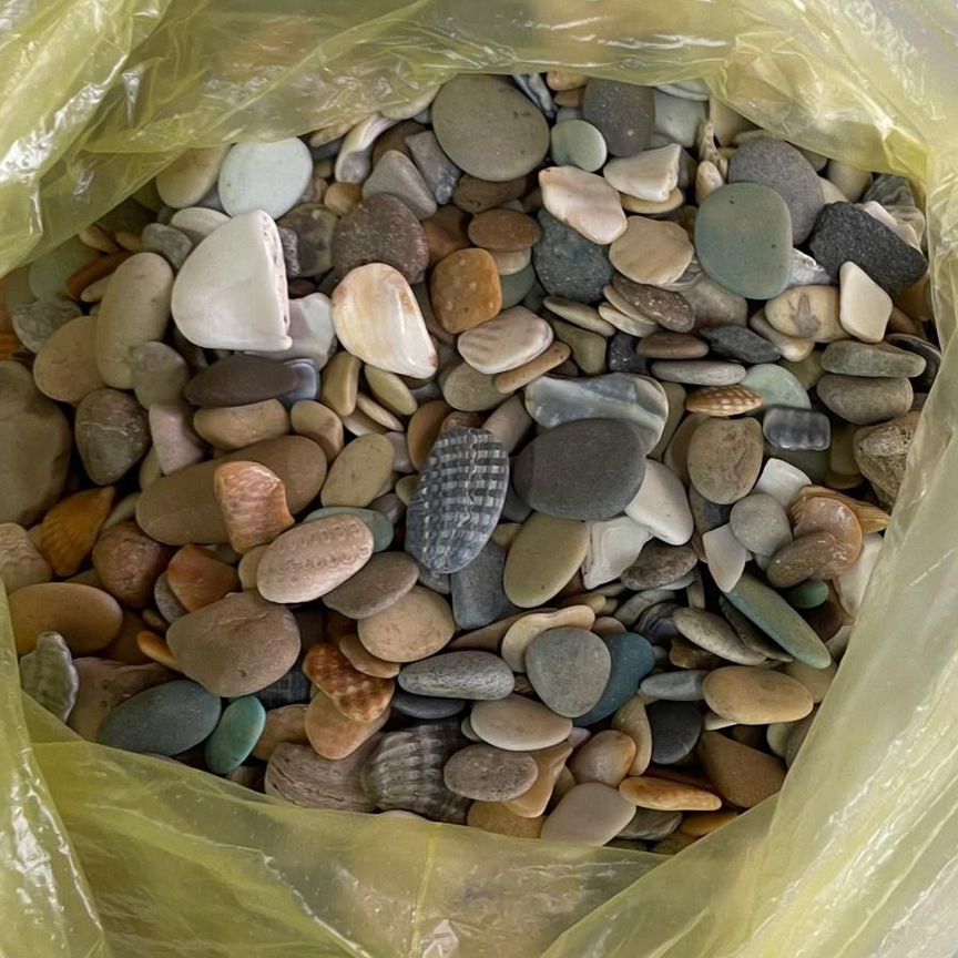 Продам аквариумный грунт и морские ракушки