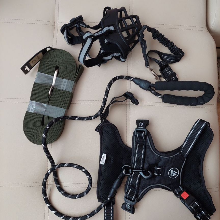 Шлейка для собаки