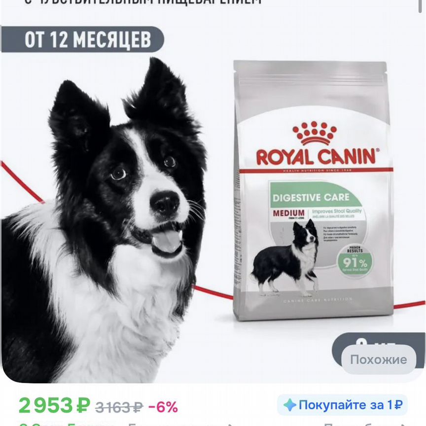 Корм для собак