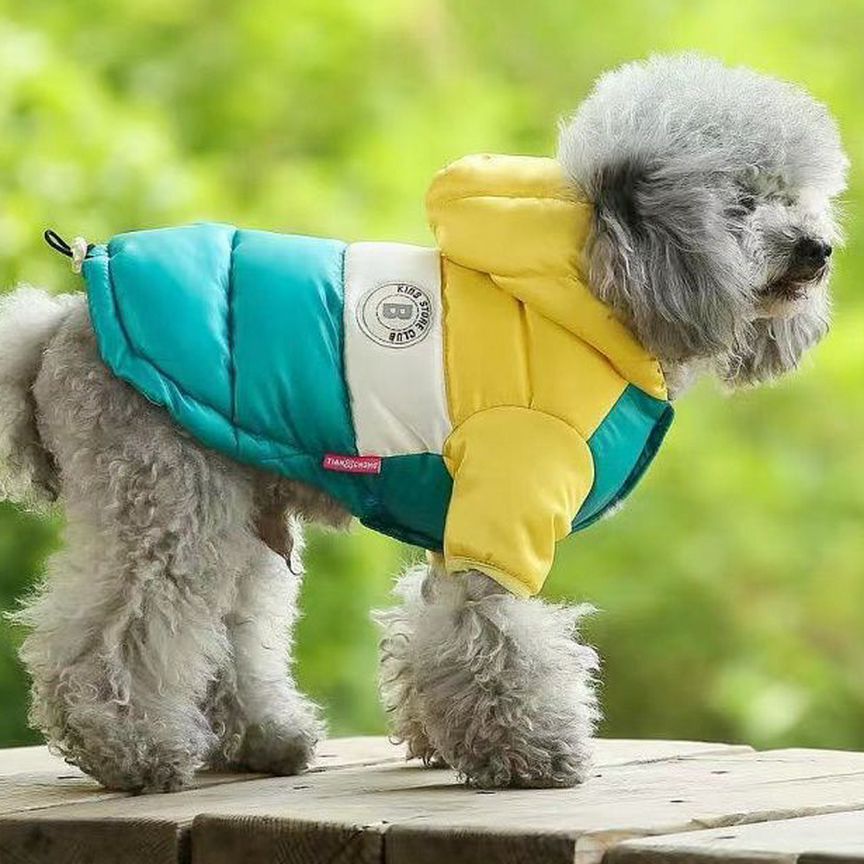 Одежда для собак