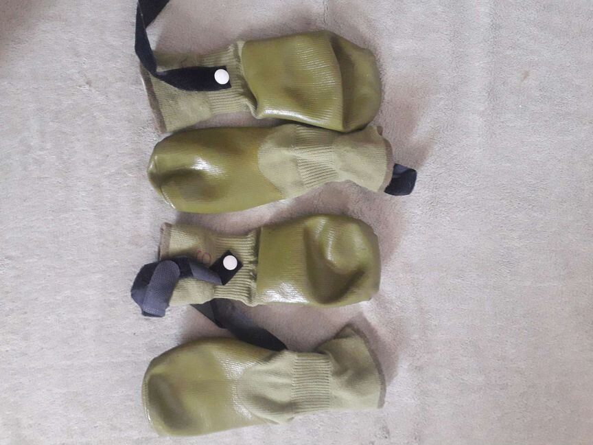 Сапожки для собак