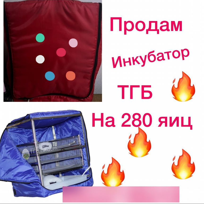 Инкубатор для яиц автоматический