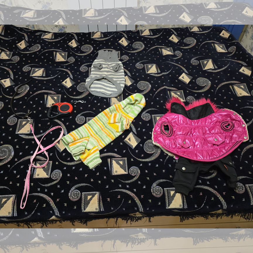 Вещи для маленьких собачек