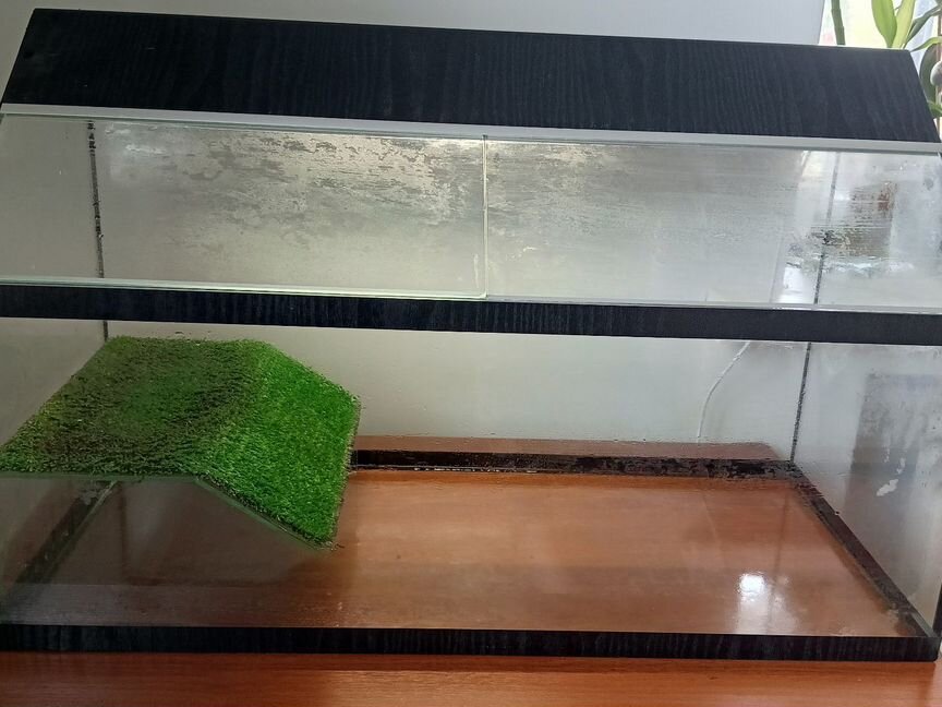 Террариум для красноухой черепахи