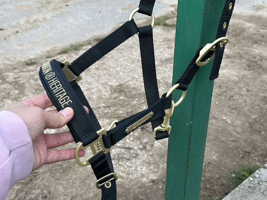 Недоуздок Eskadron Heritage Pony