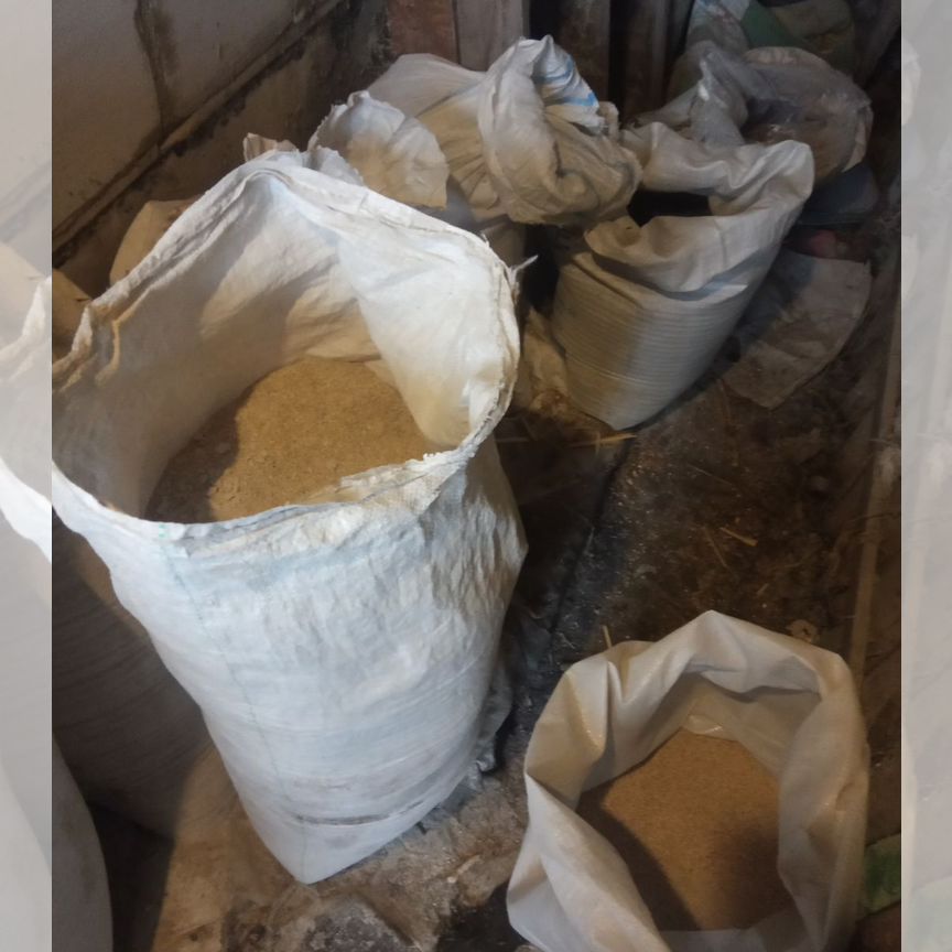 Зерно пшеница ячмень кукуруза в мешках