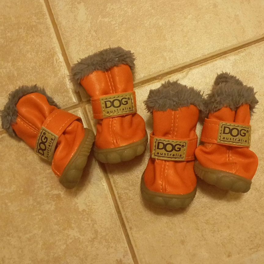 Ботинки для маленьких собак