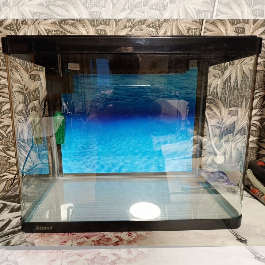 Аквариум