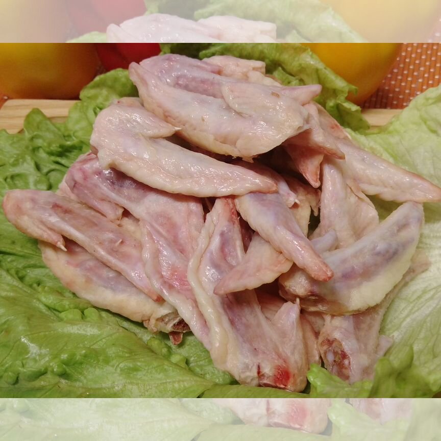 Третья фаланга крыла куриная