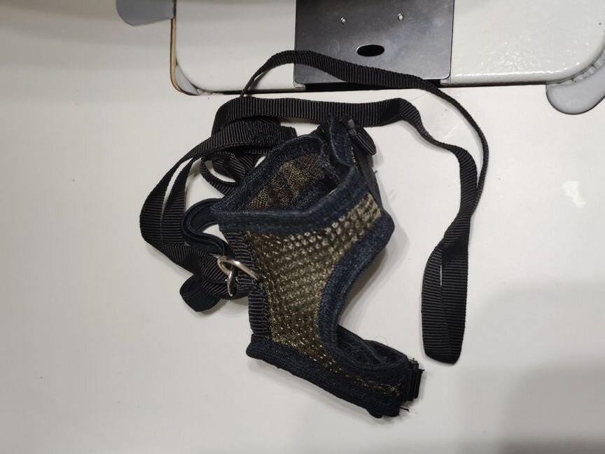 Шлейка для хорька