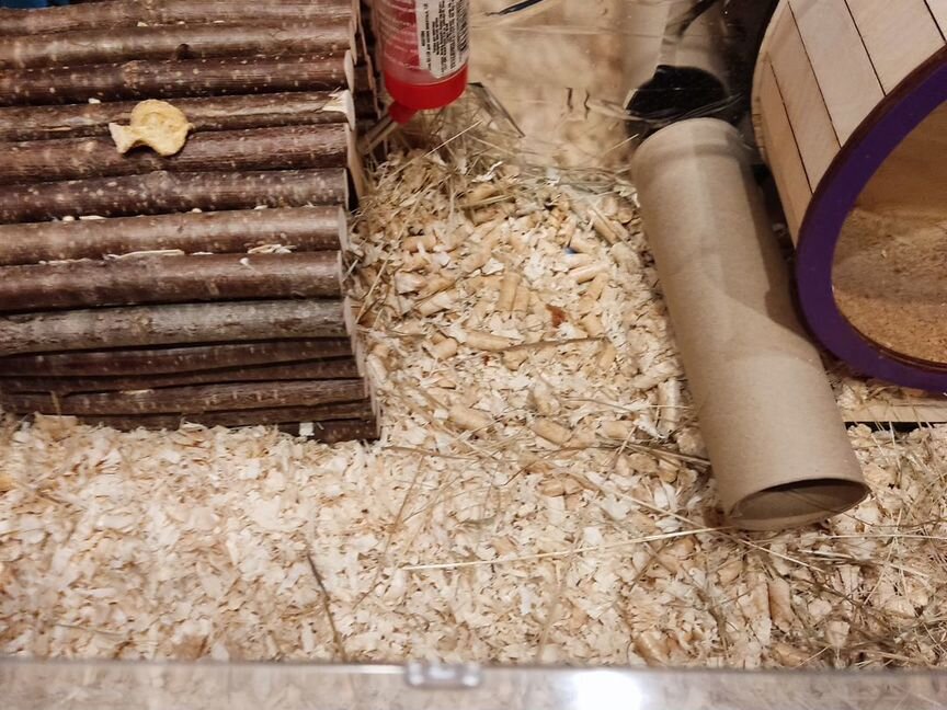 Клетка для хомяков и мышей Ferplast Duna Multy