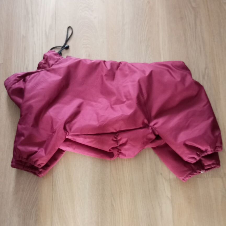 Одежда для собак