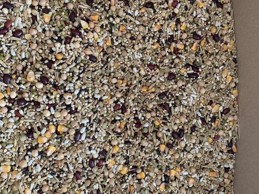 Зерносмесь для средних и крупных попугаев