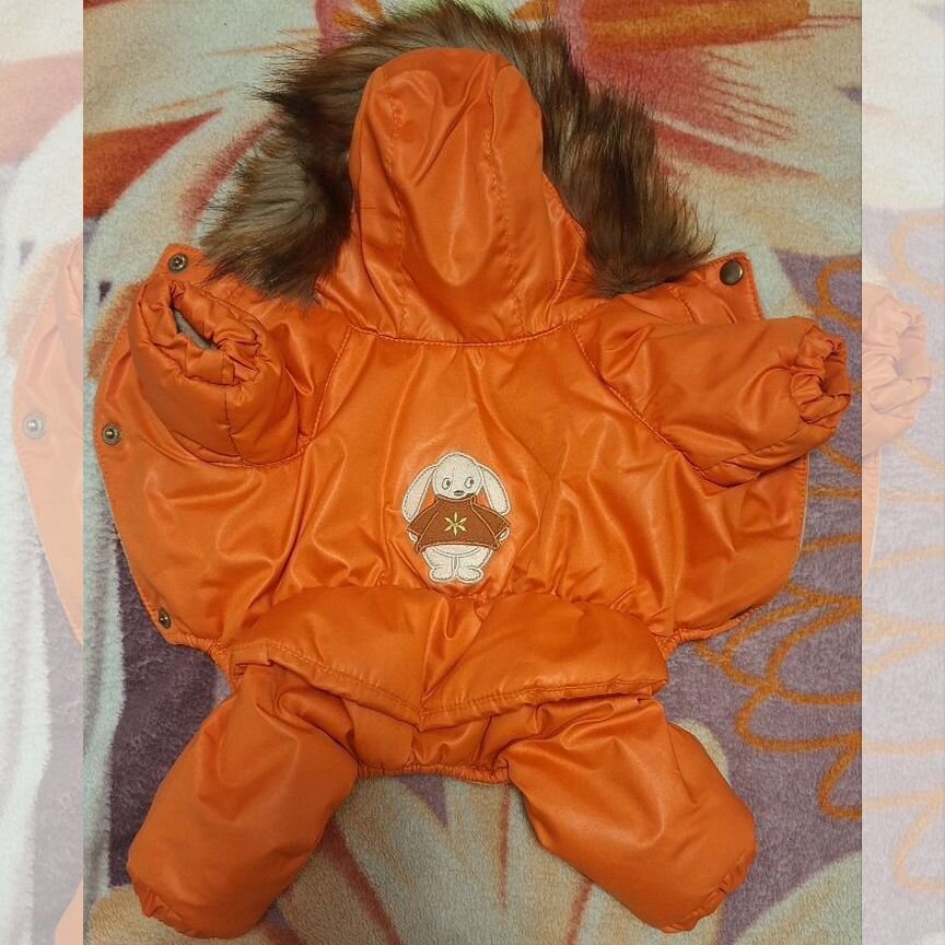 Одежда для маленьких собак