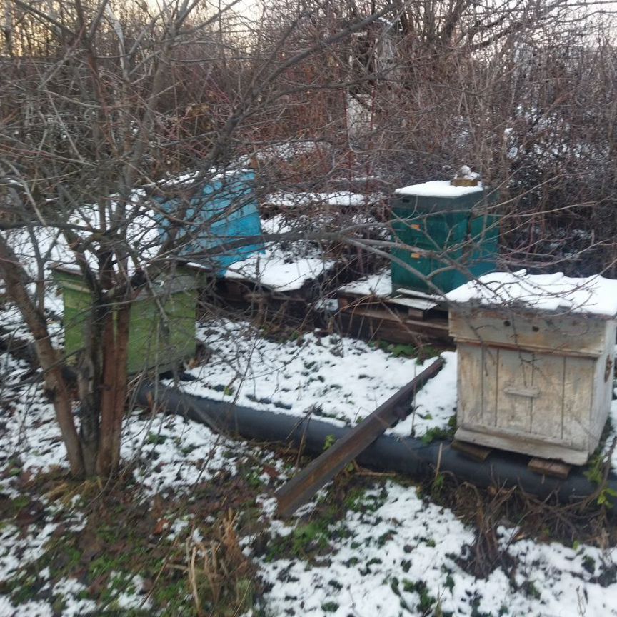 Ульи для пчел